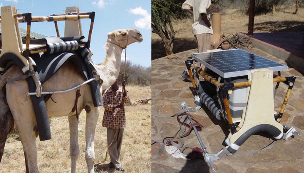 Camel Mobile Clinic Update | Designmatters